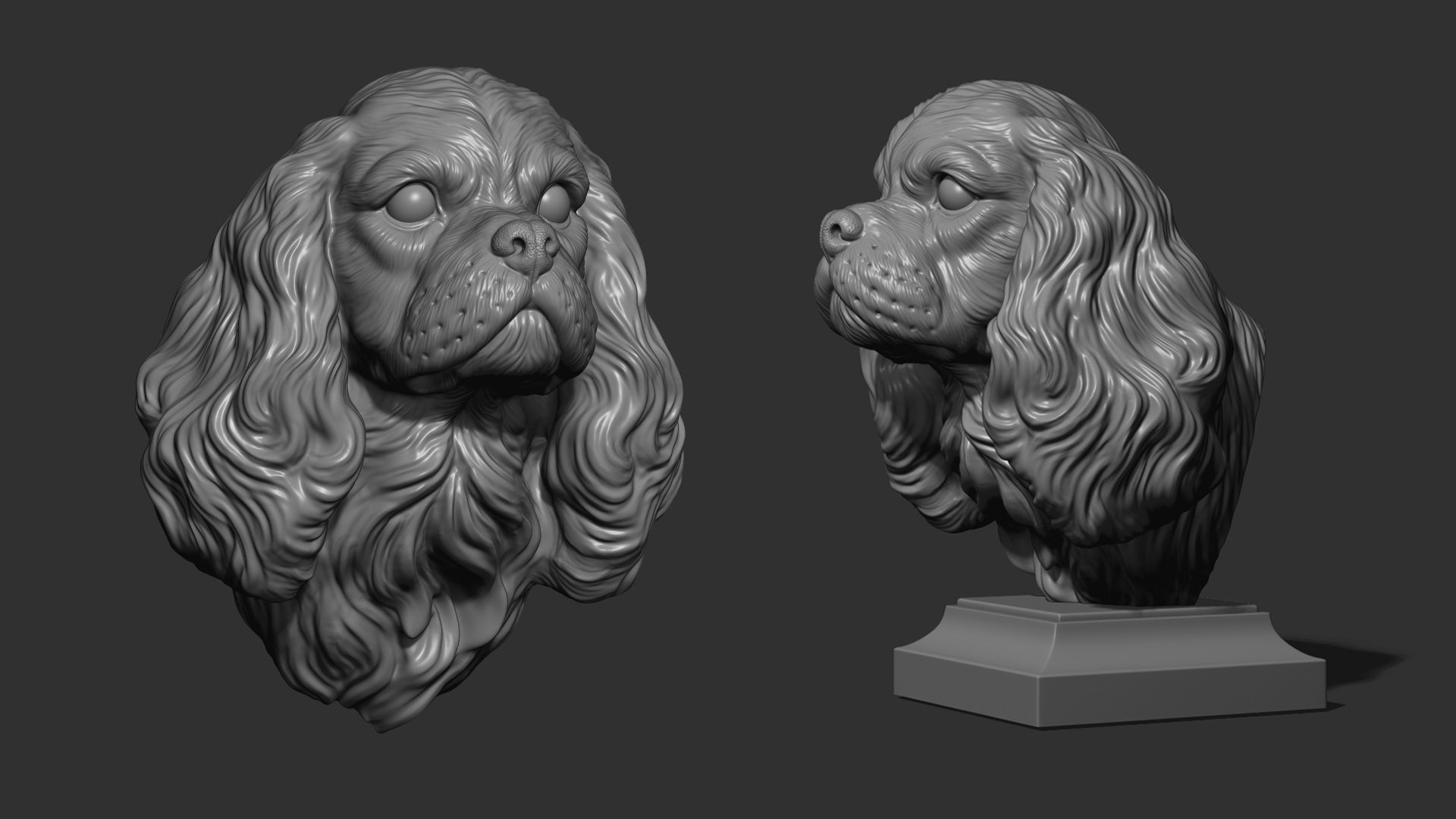 Spaniel Cavalier King Charles bust 3D model 3D printable | CGTrader