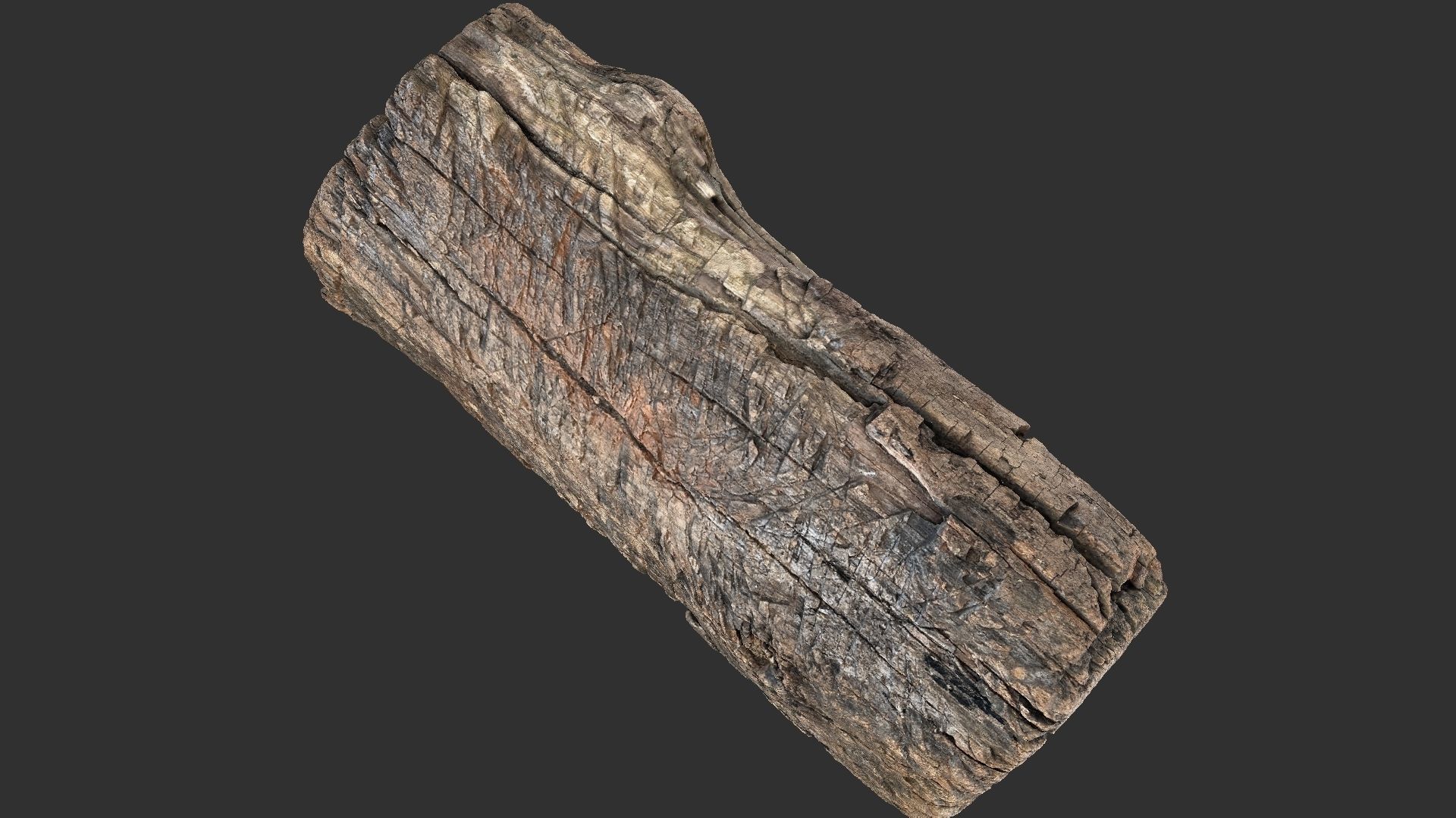 3d scan of Tree trunk 3D model | CGTrader