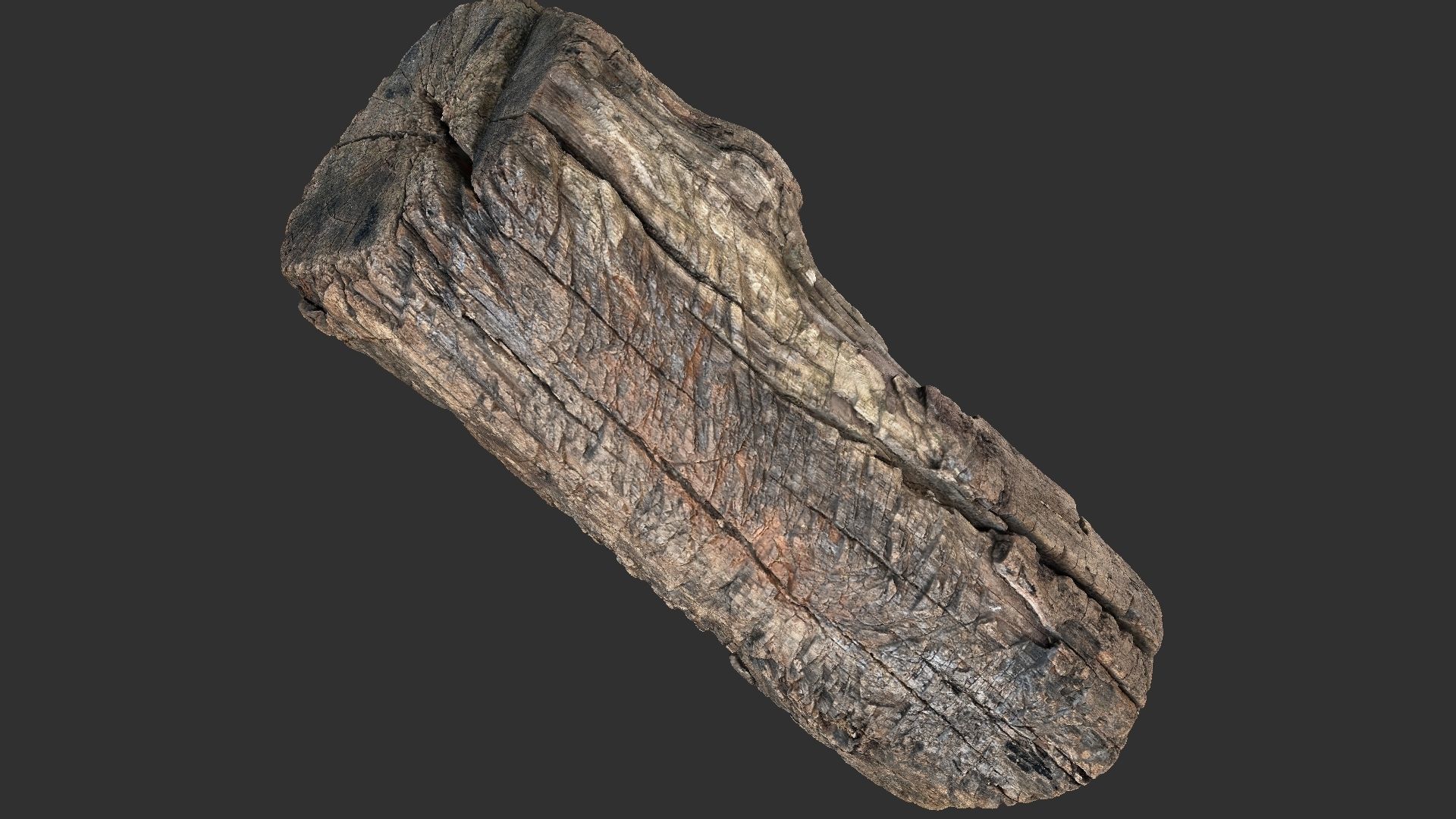 3d scan of Tree trunk 3D model | CGTrader