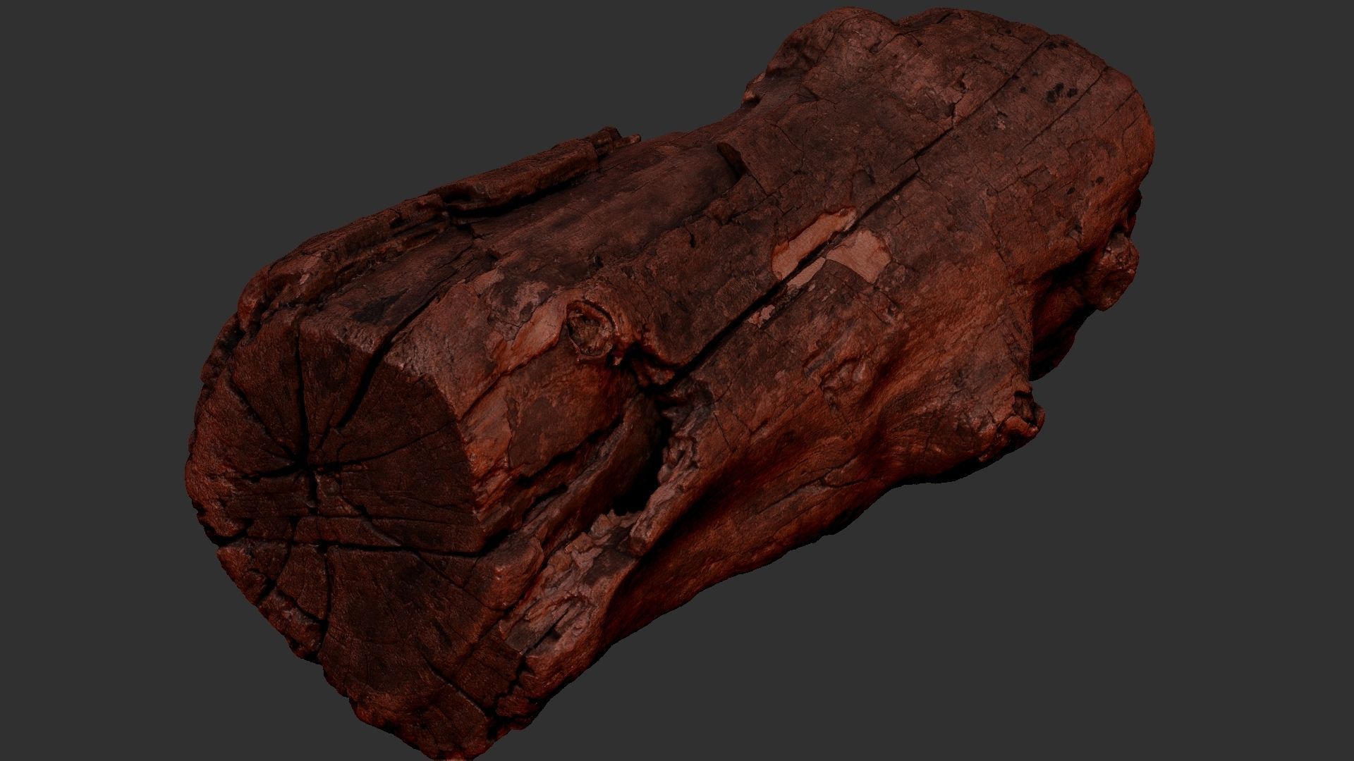 3d scan of Tree trunk 3D model | CGTrader