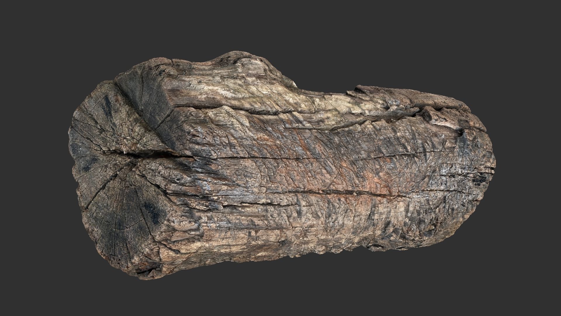 3d scan of Tree trunk 3D model | CGTrader