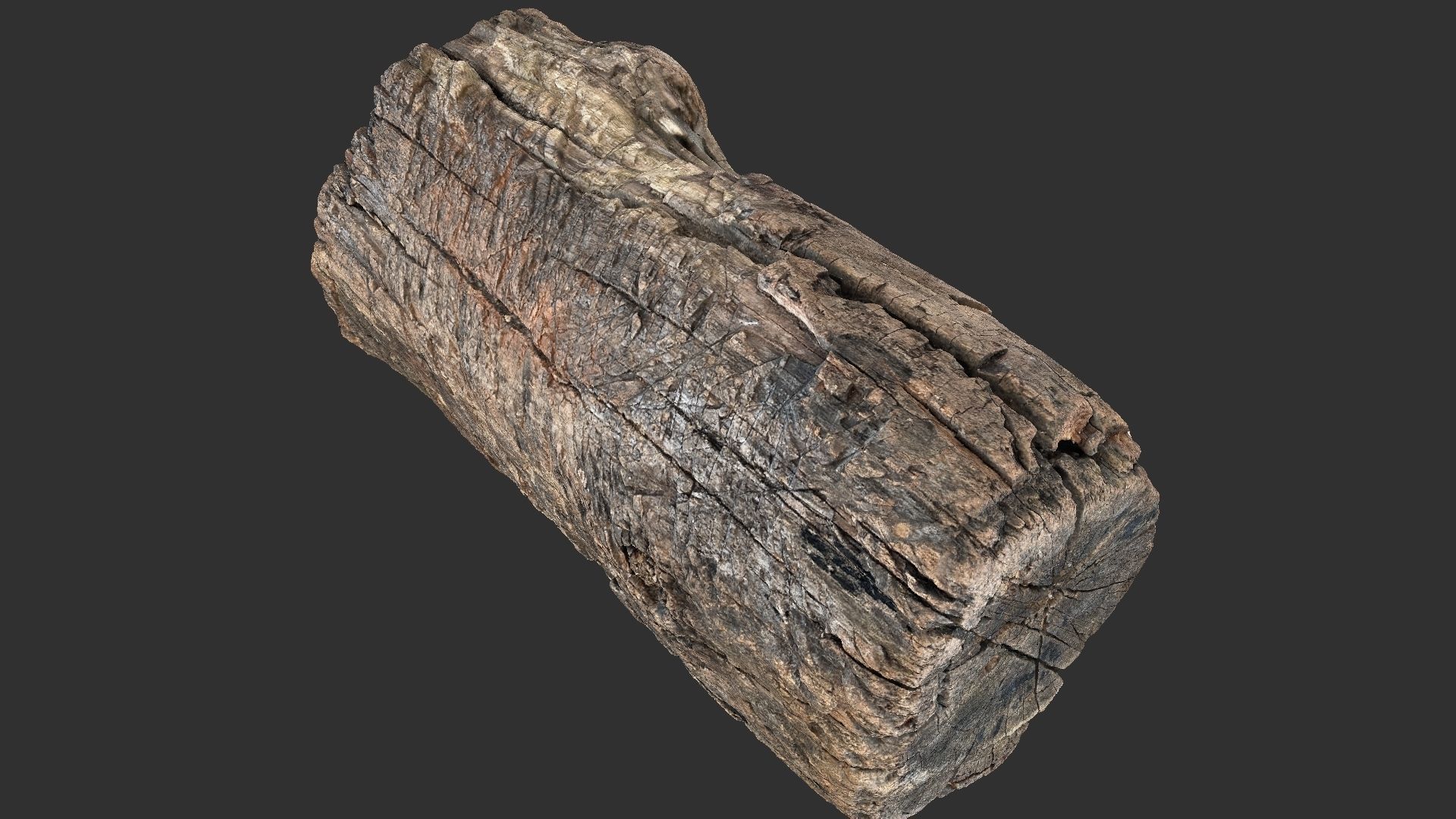 3d scan of Tree trunk 3D model | CGTrader