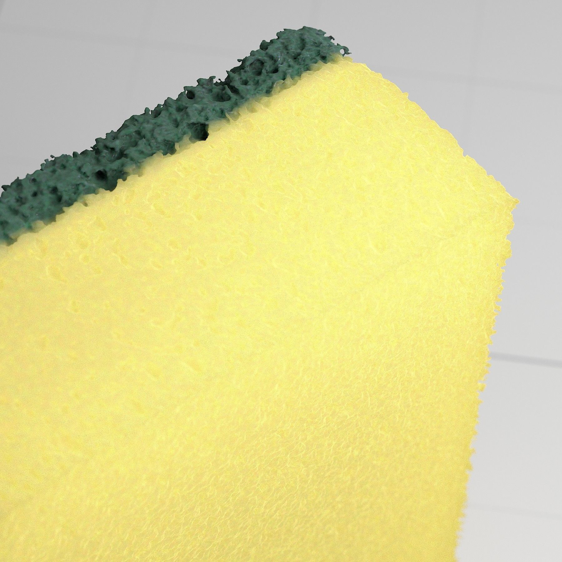 Detailed Sponge 3D Model 3D model | CGTrader