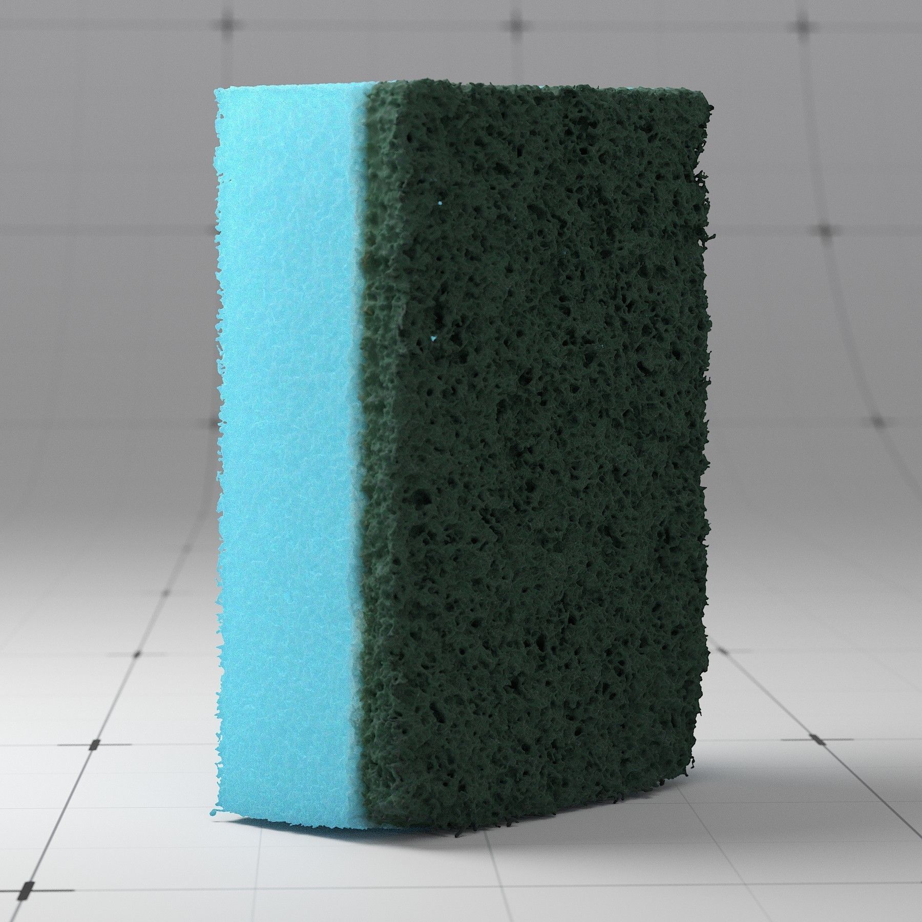 Detailed Sponge 3D Model 3D model | CGTrader