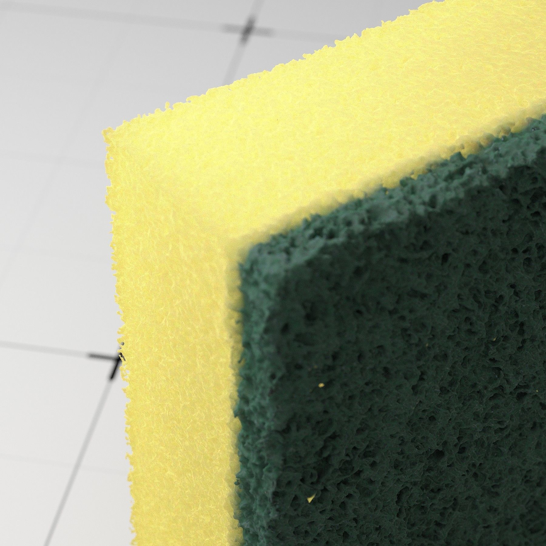 Detailed Sponge 3D Model 3D model | CGTrader