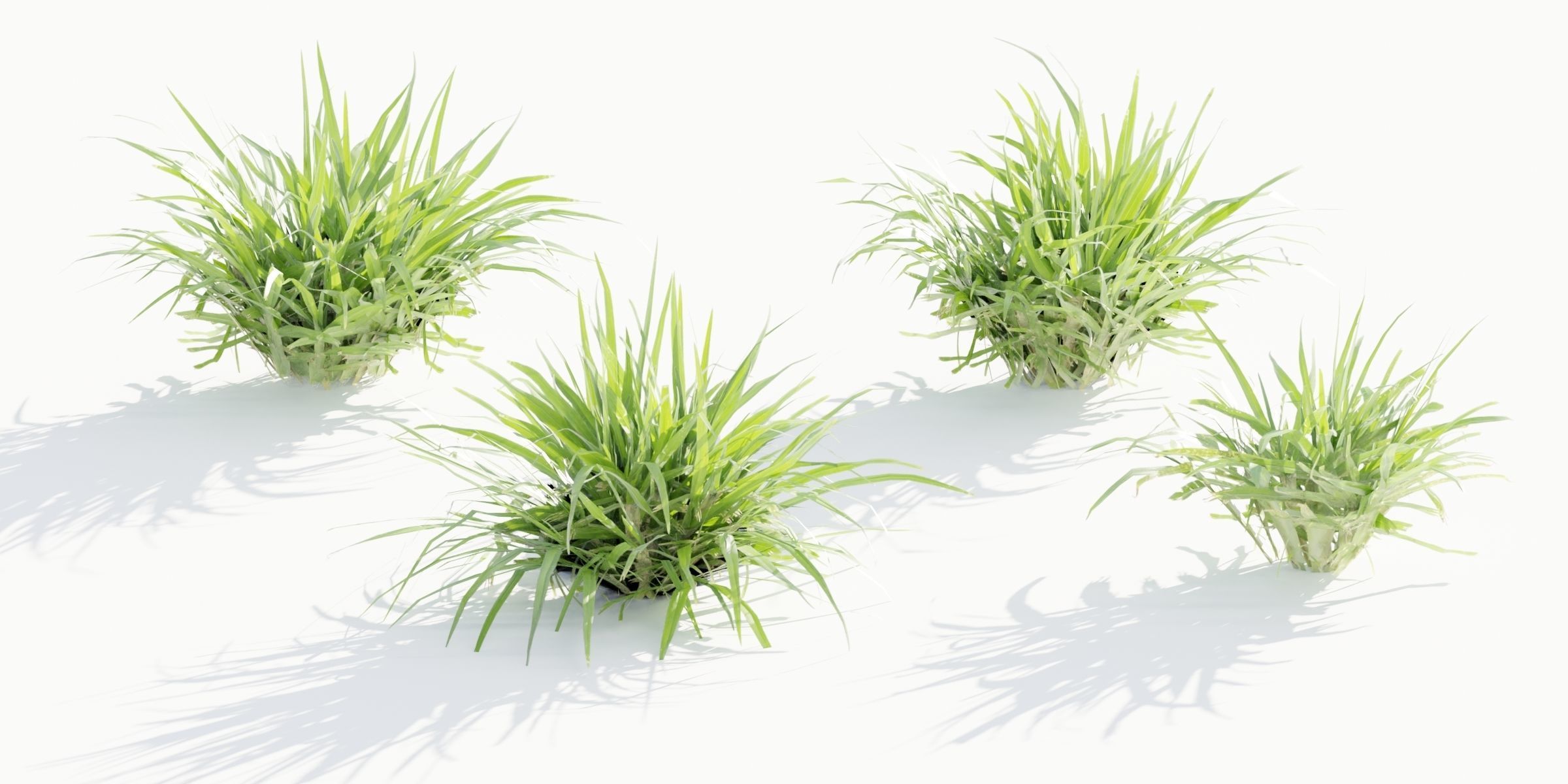 3D model Grass Clumps vol 152-Blender VR / AR / low-poly | CGTrader