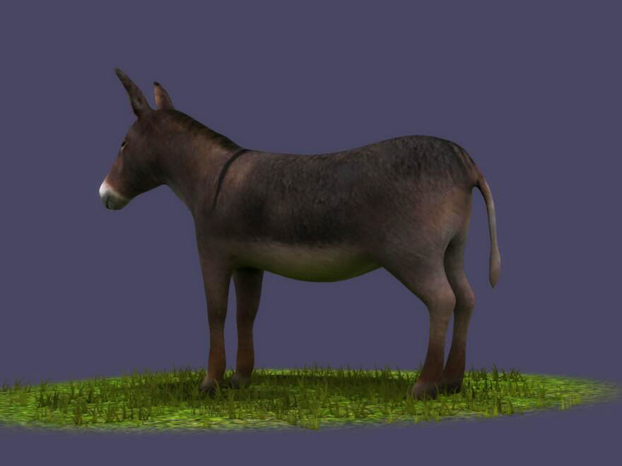 Donkeys ranches livestock breeding mammals 3D model | CGTrader