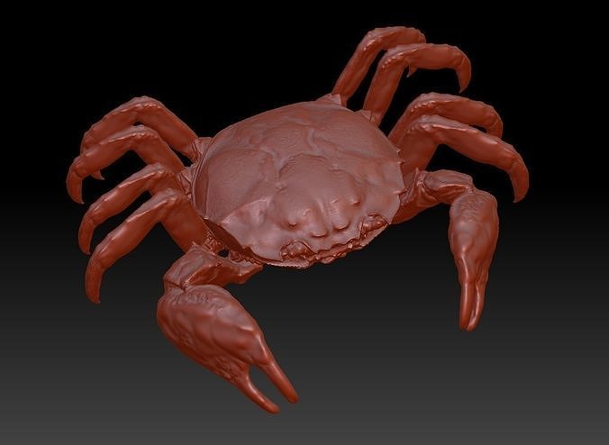 Crab 3D printing hairy crab model sculpture STL file download 3D model ...
