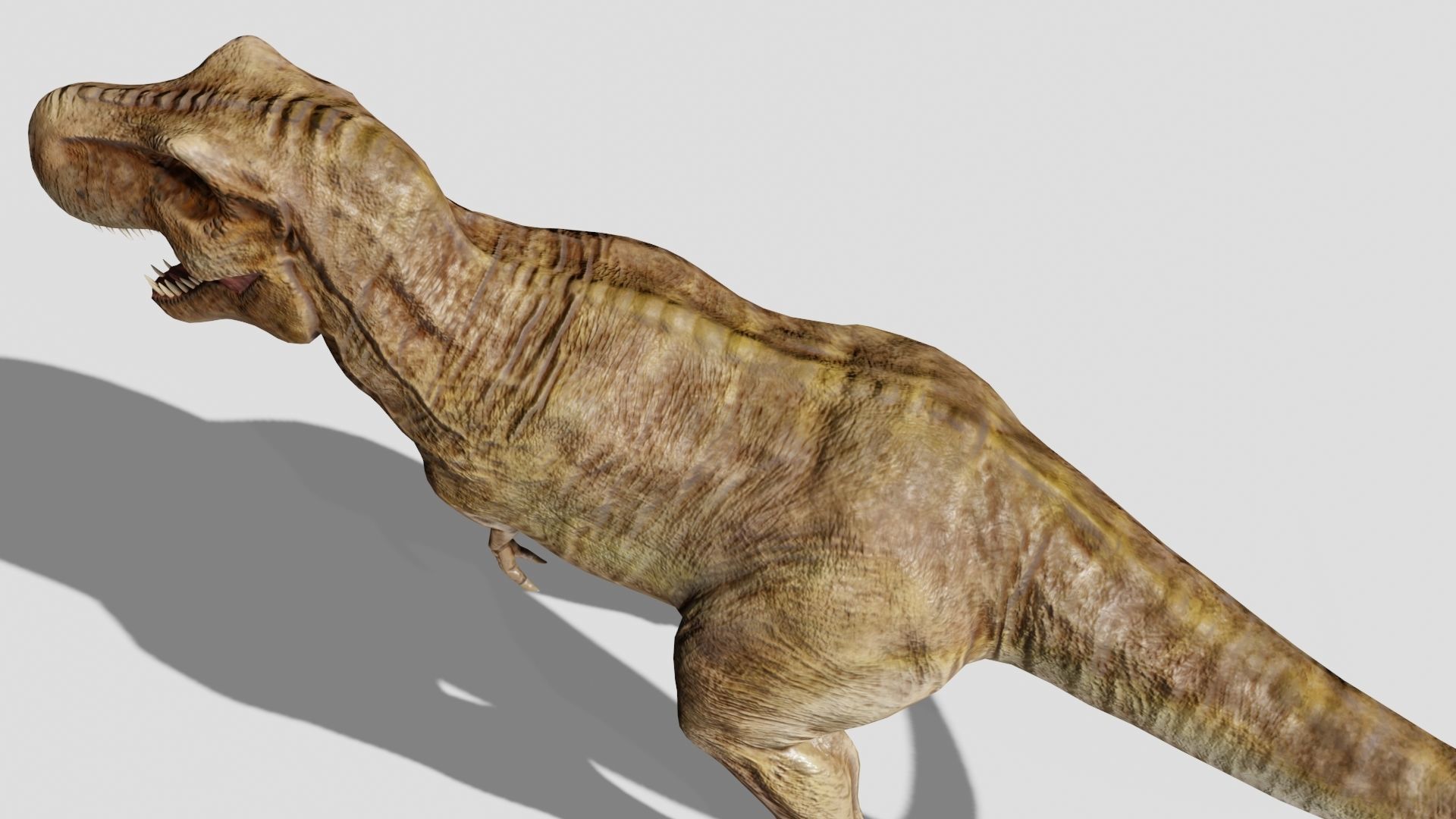 3D model Tyrannosaurus Rex VR / AR / low-poly | CGTrader