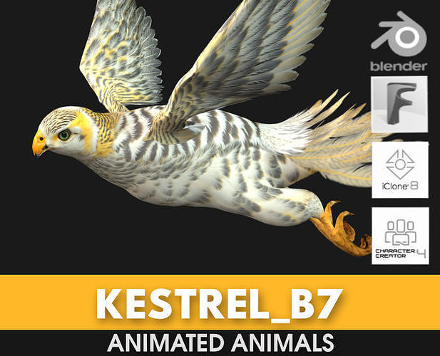 Kestrel B7 3D model animated rigged | CGTrader
