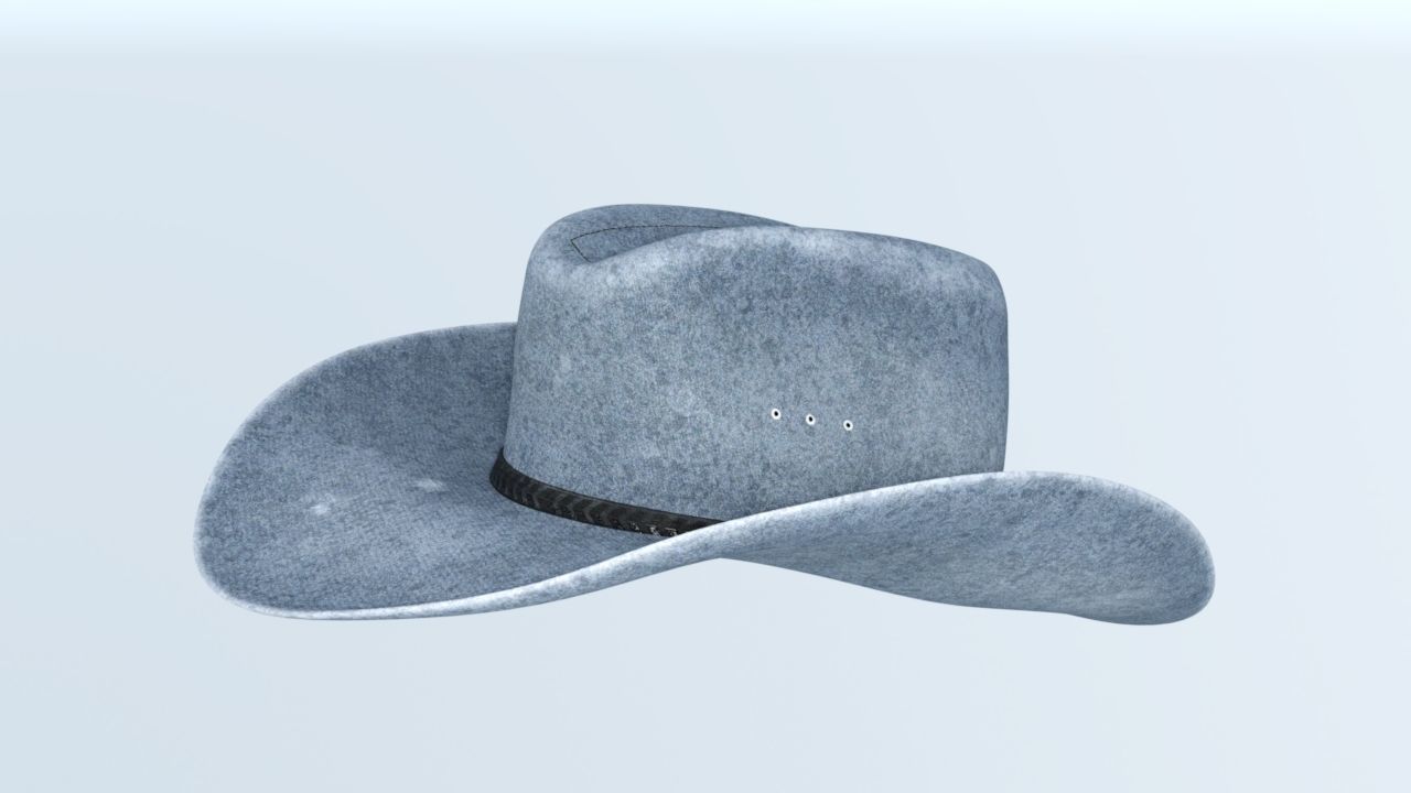 cowboy hat 3D model | CGTrader
