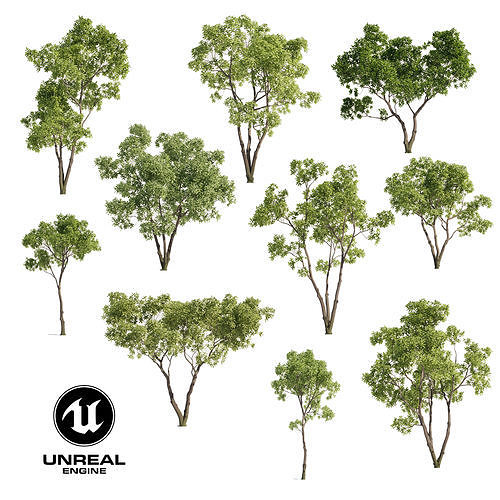 3D model Tree Set 01 - UE5 and Others VR / AR / low-poly | CGTrader