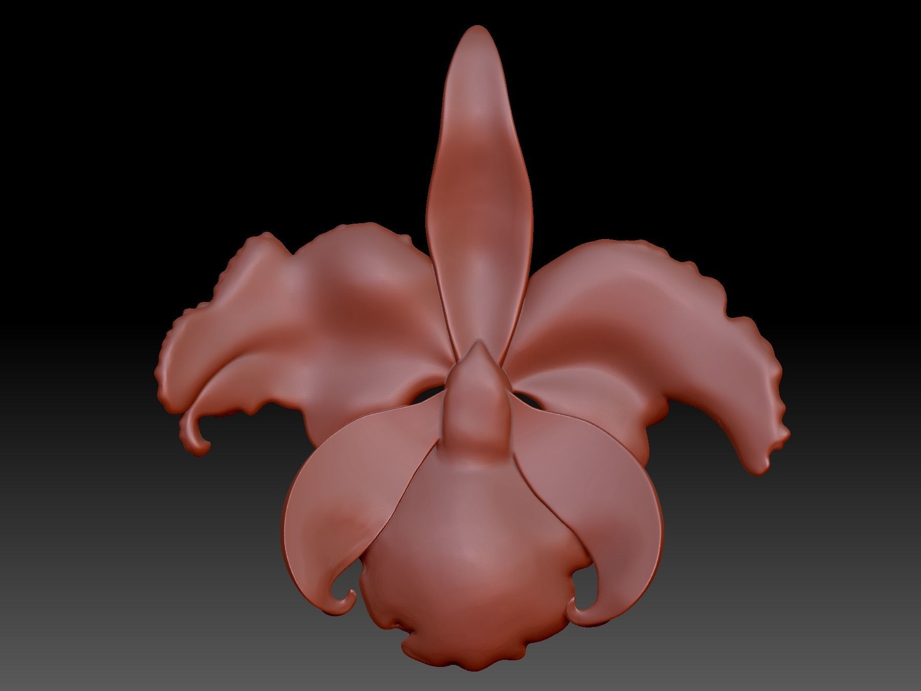 Orchid 3D model 3D printable | CGTrader