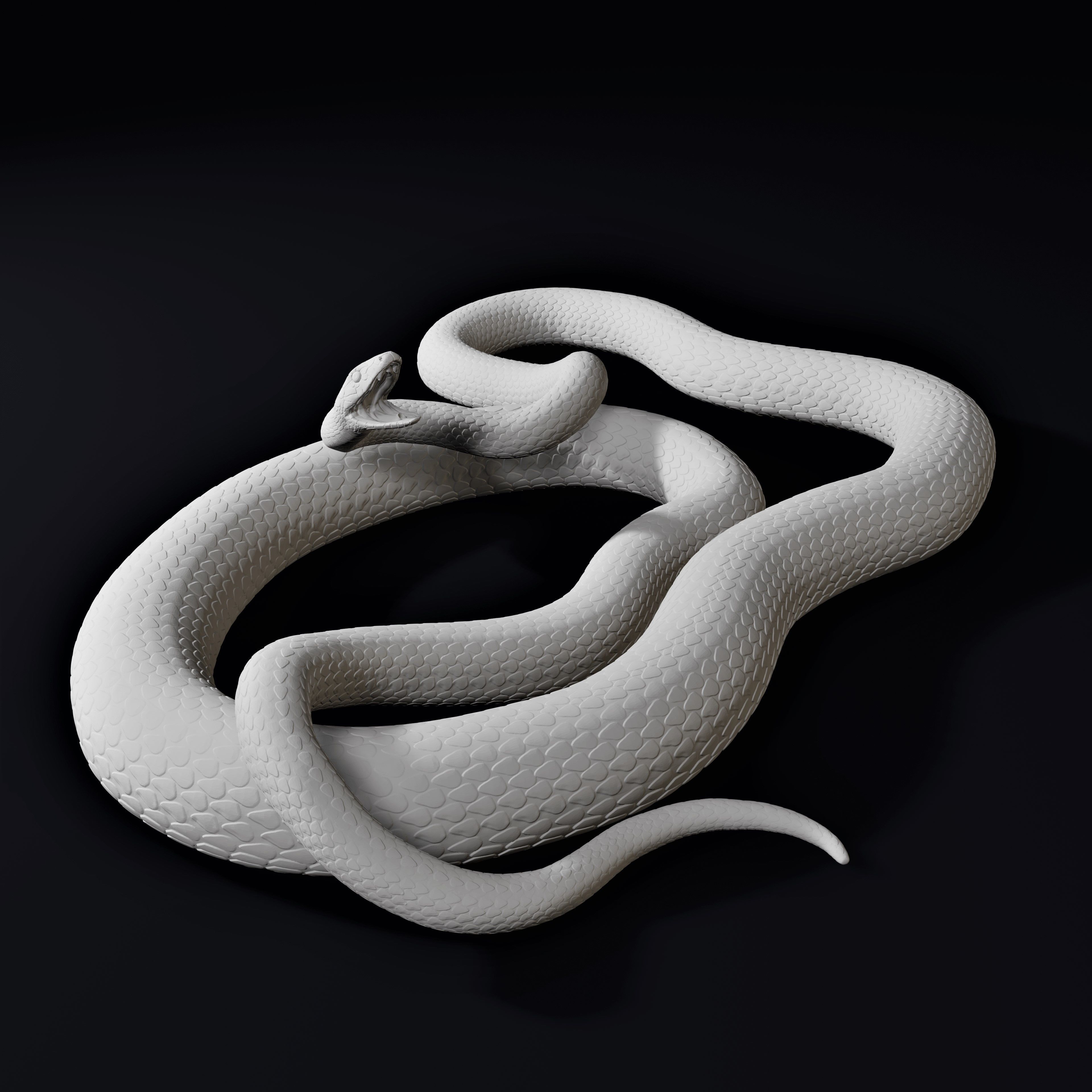 Black Mamba Venomous Snake Reptile 3D Print 3D model 3D printable ...