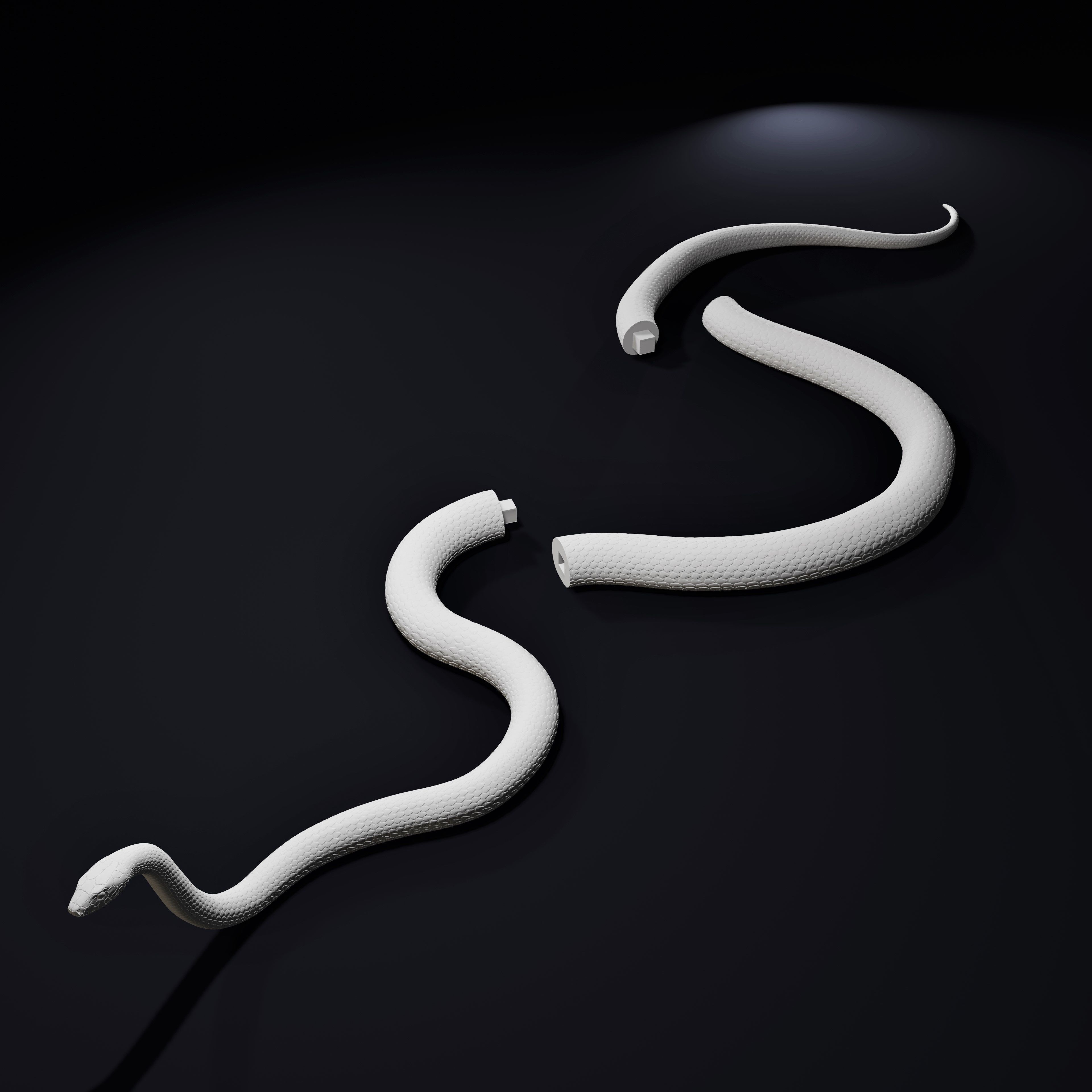 Black Mamba Venomous Snake Reptile 3D Print 3D model 3D printable ...