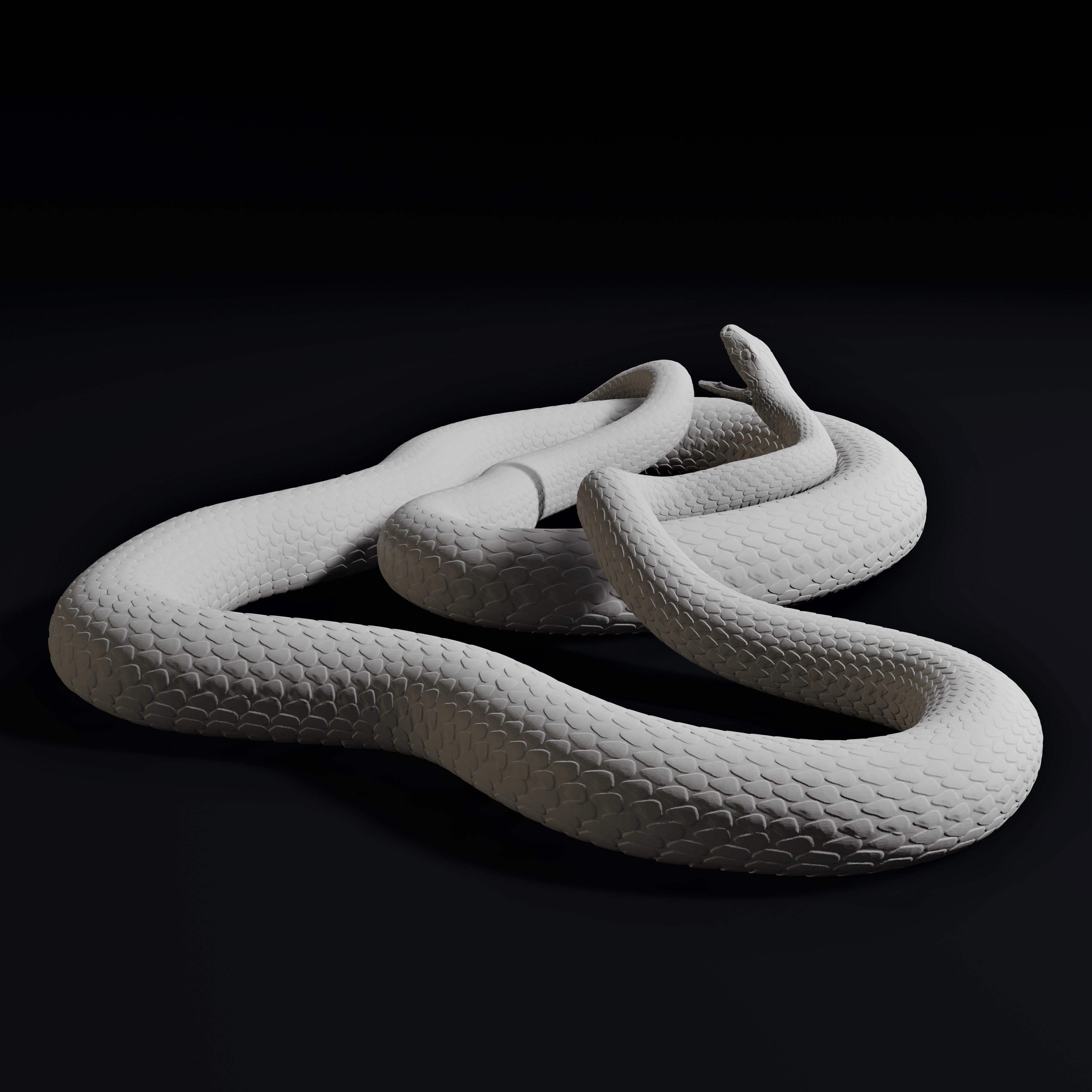 Black Mamba Venomous Snake Reptile 3D Print 3D model 3D printable ...