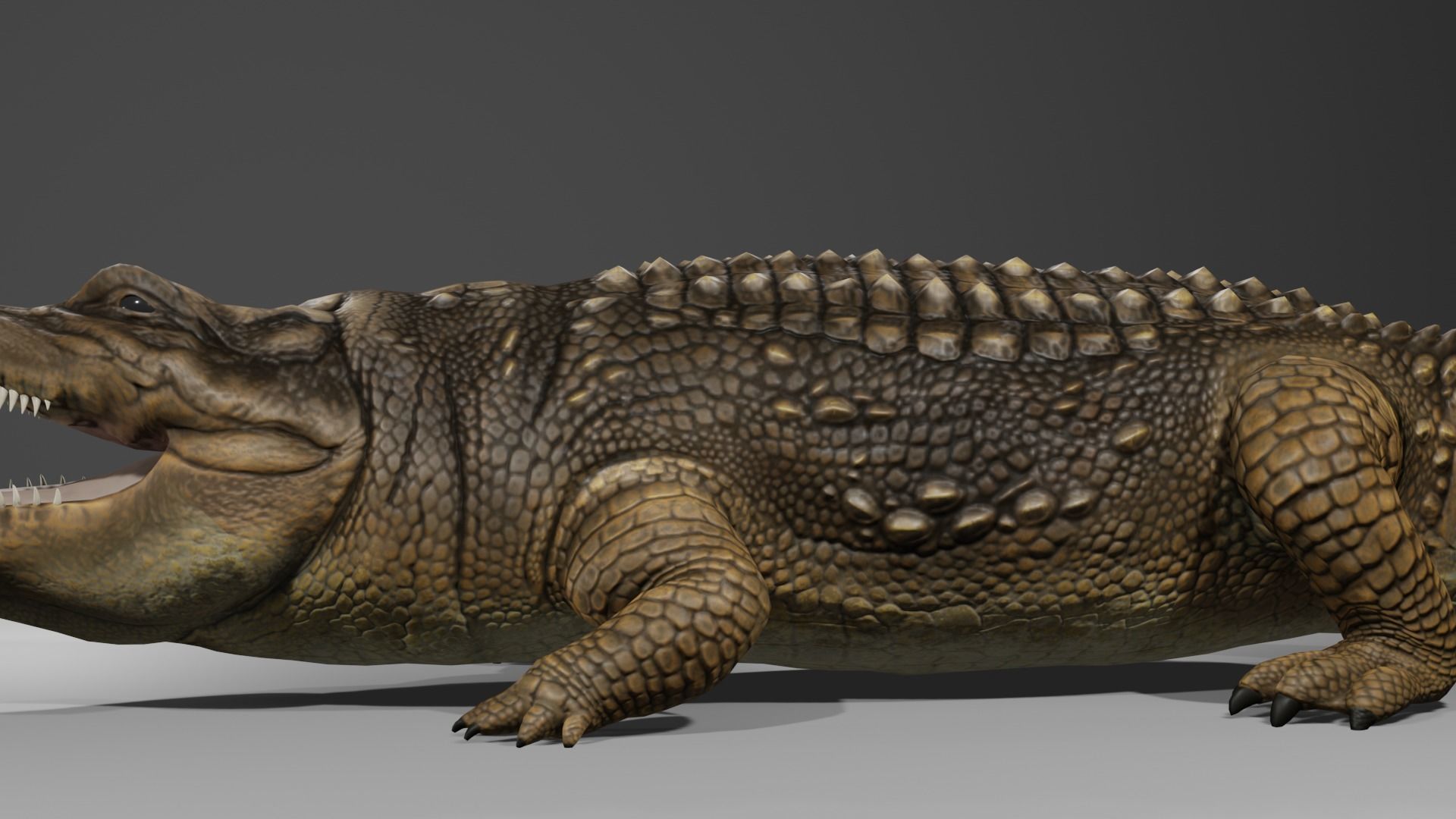 3D model Realistic Sarcosuchus 3D VR / AR / low-poly | CGTrader
