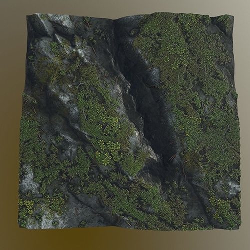 Mossy Cliff Texture | CGTrader