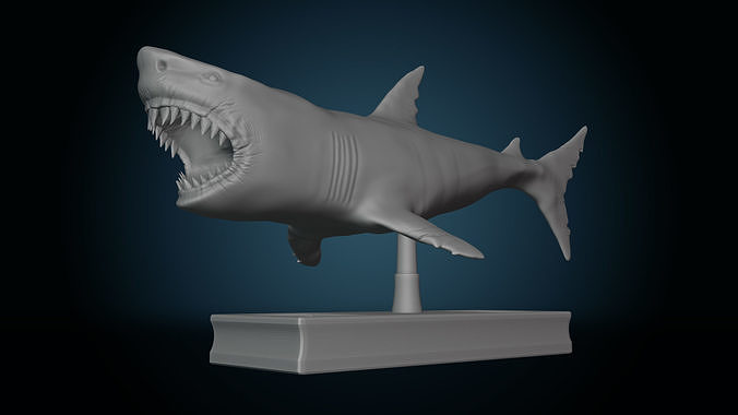 Shark 3D model 3D printable | CGTrader