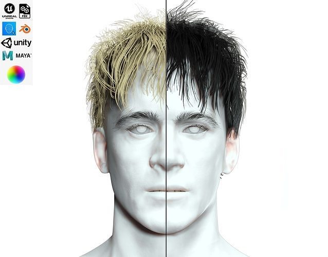 3D model Realistic Male Hair - Messy Hair Style Hair Card VR / AR / low ...