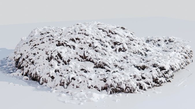 Snowy Bush free 3D model | CGTrader
