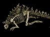 3D model Godzilla Skeleton VR / AR / low-poly | CGTrader