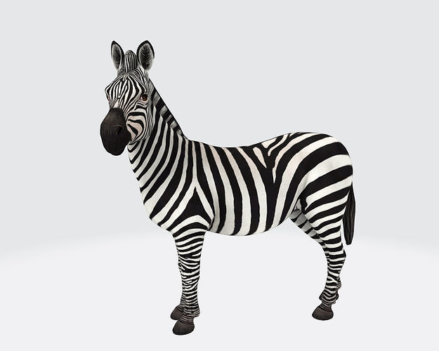 Zebra 3D Model Ready to Print 3D model 3D printable | CGTrader