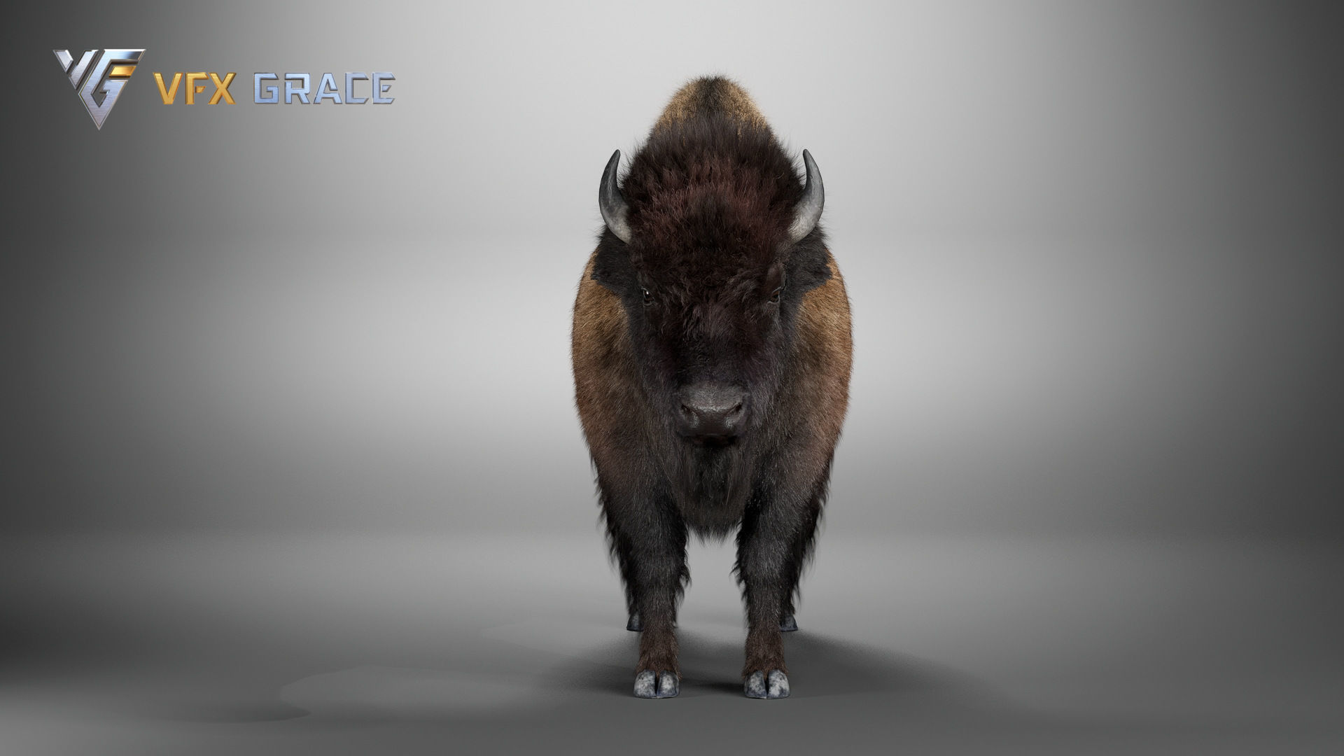 Bison Male UE Character Asset 3D model animated rigged | CGTrader