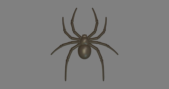 Spider 3D model 3D printable | CGTrader