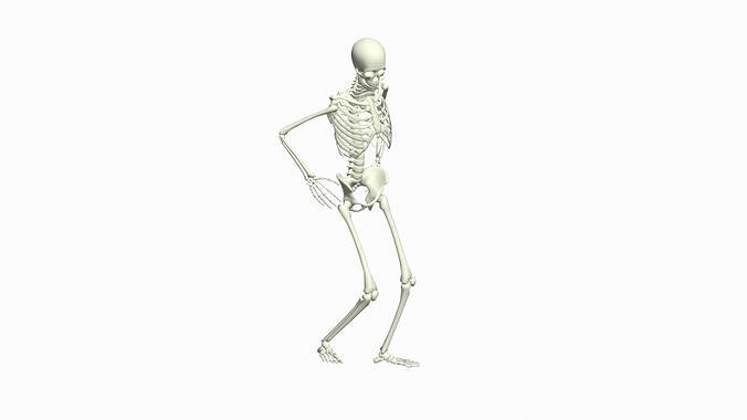 Skeleton Rigged 3D Dance Animation 3D model animated rigged | CGTrader