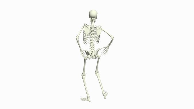 Skeleton Rigged 3D Dance Animation 3D model animated rigged | CGTrader