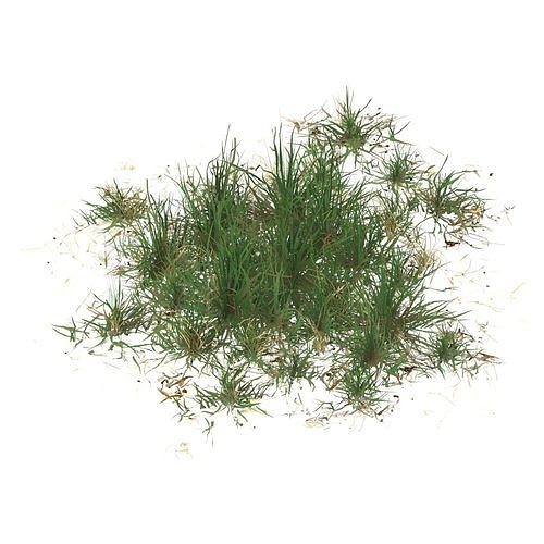3D model Realistic Game Ready Grass 06 VR / AR / low-poly | CGTrader