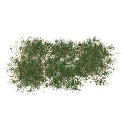 3D model Realistic Game Ready Grass 12 VR / AR / low-poly | CGTrader