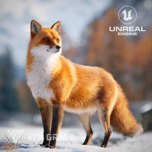 Red Fox UE Character Asset 3D model | CGTrader