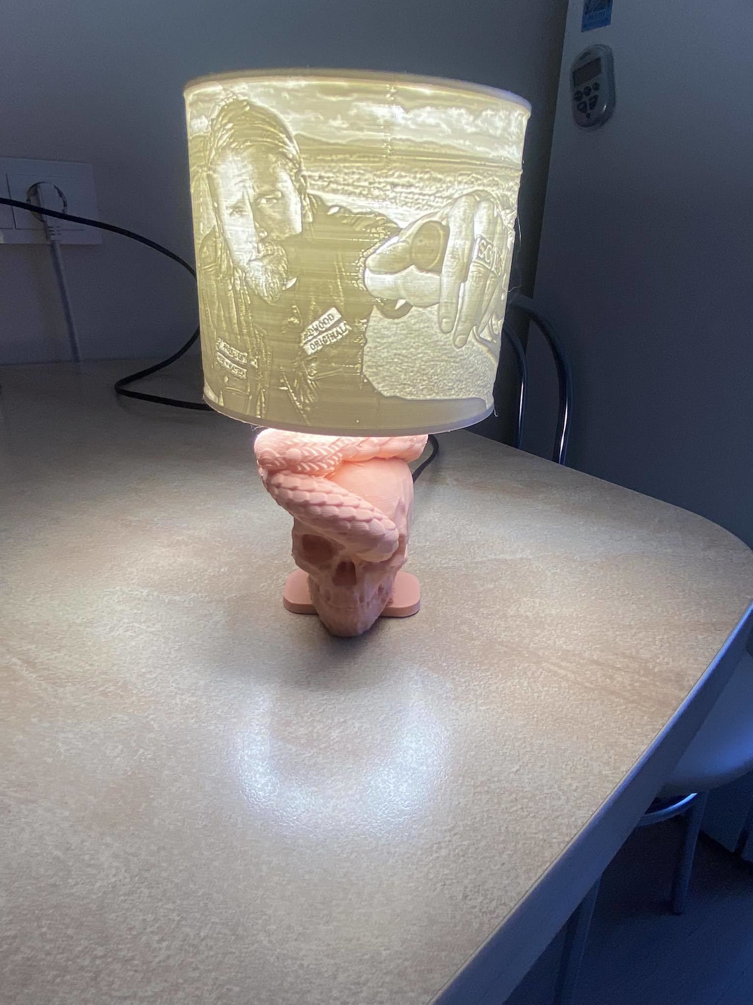 Sons of anarchy lithophane lamp with skulls and snakes 3D model 3D ...