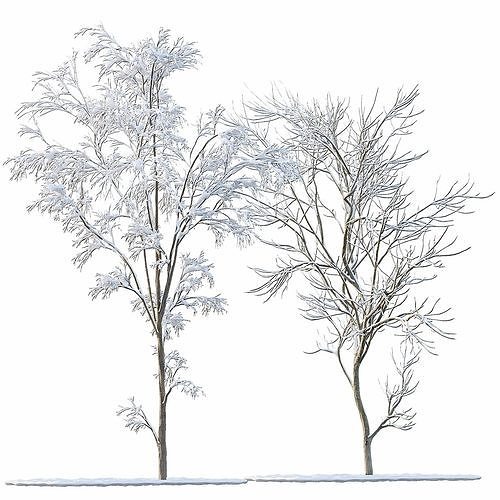 Winter Snow Tree 01 3D model | CGTrader