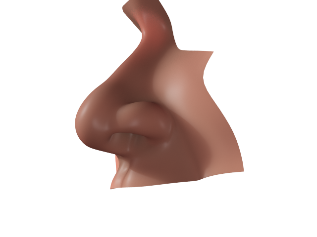 nose realistic nose human nose 3D model | CGTrader