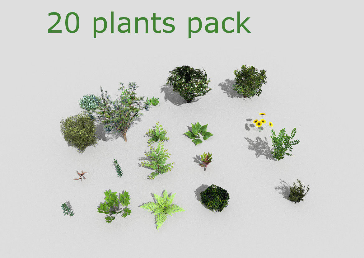 3D model low poly plants collection and trees VR / AR / low-poly | CGTrader
