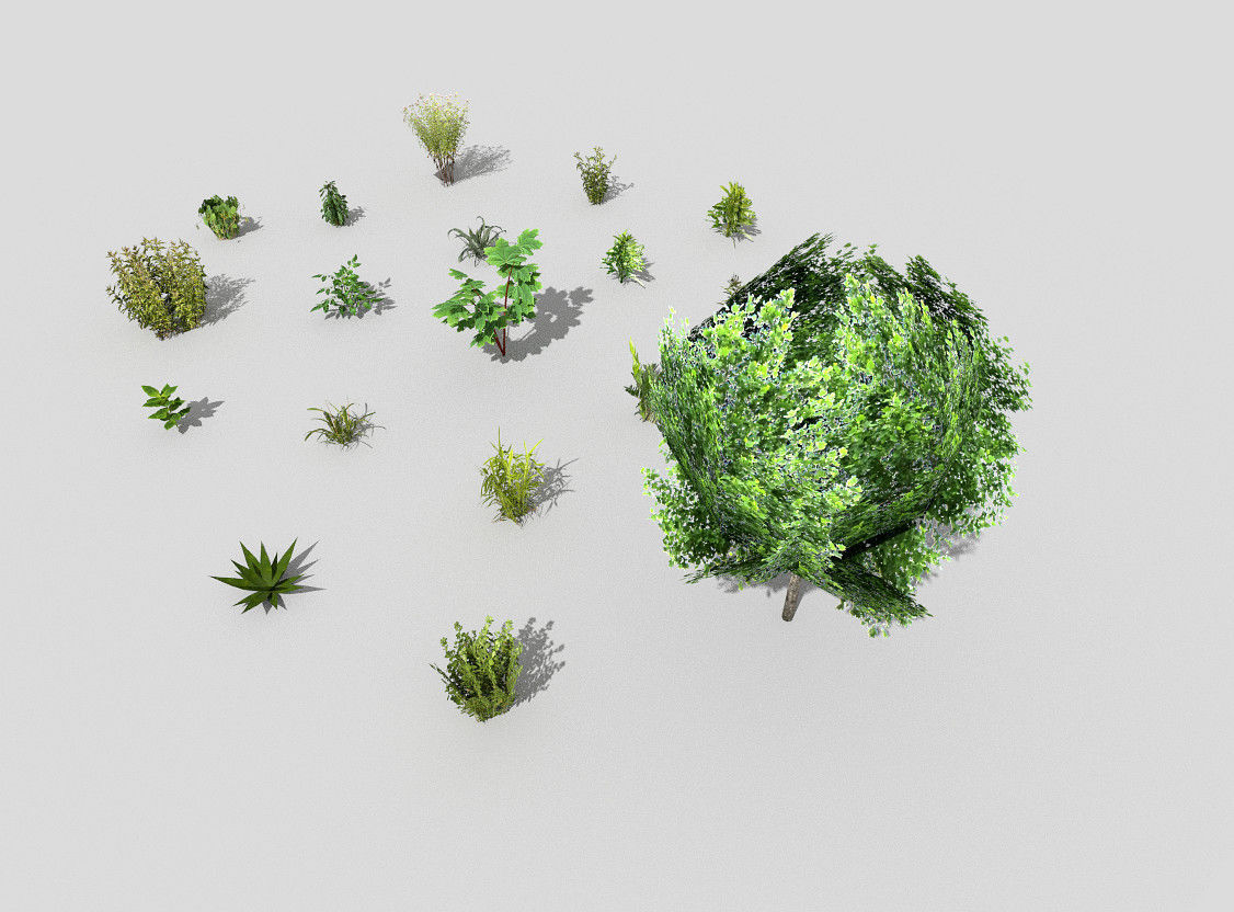 3D model low poly plants collection VR / AR / low-poly | CGTrader