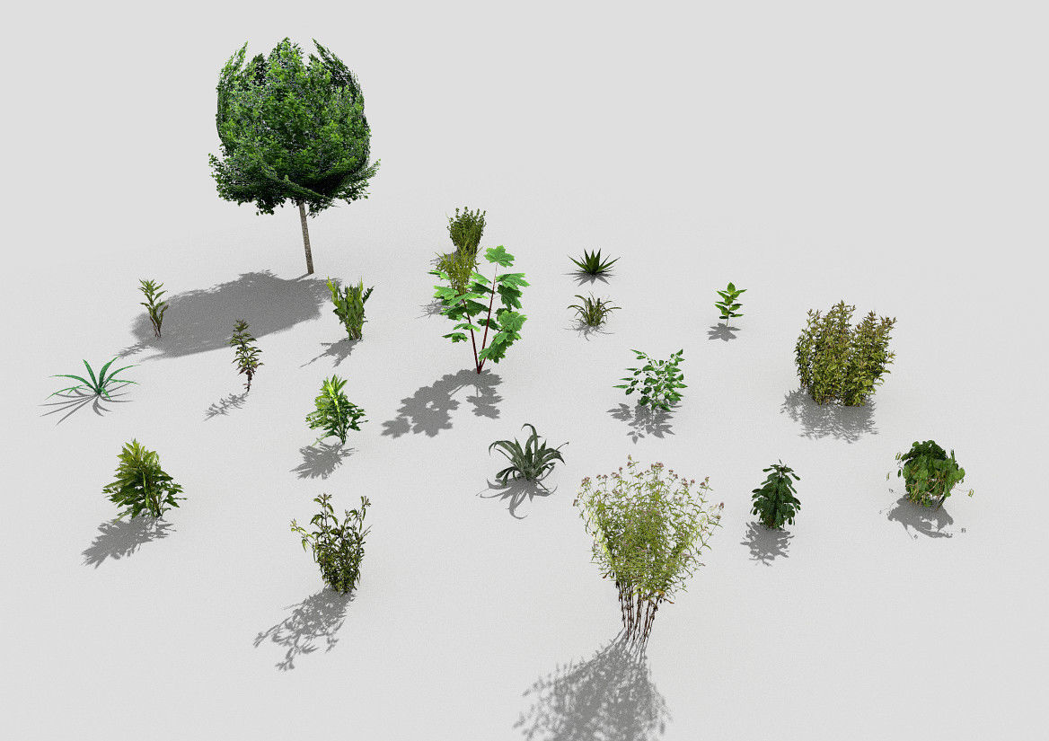 3D model low poly plants collection VR / AR / low-poly | CGTrader