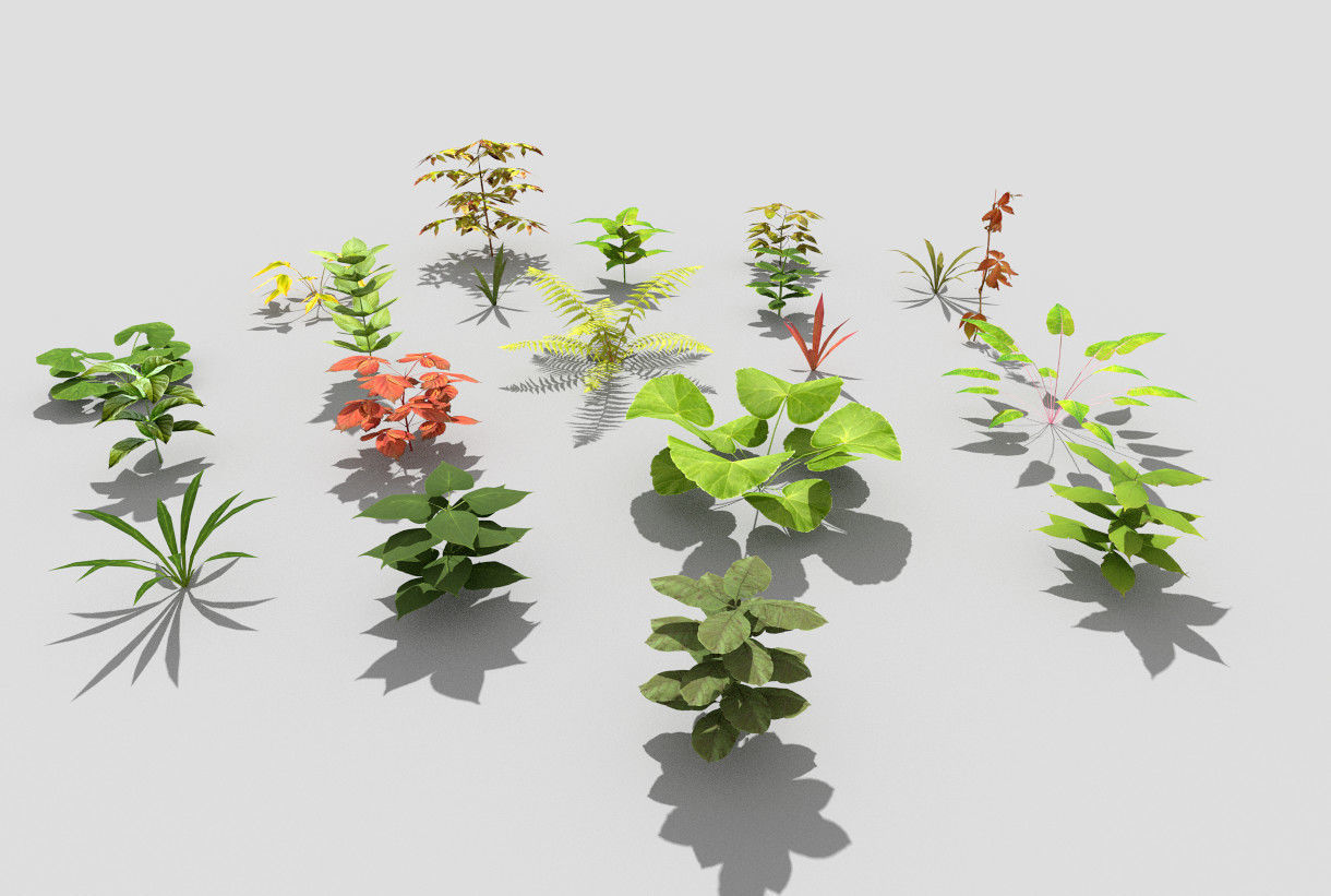 3D model low poly plants collection group of in circle VR / AR / low ...