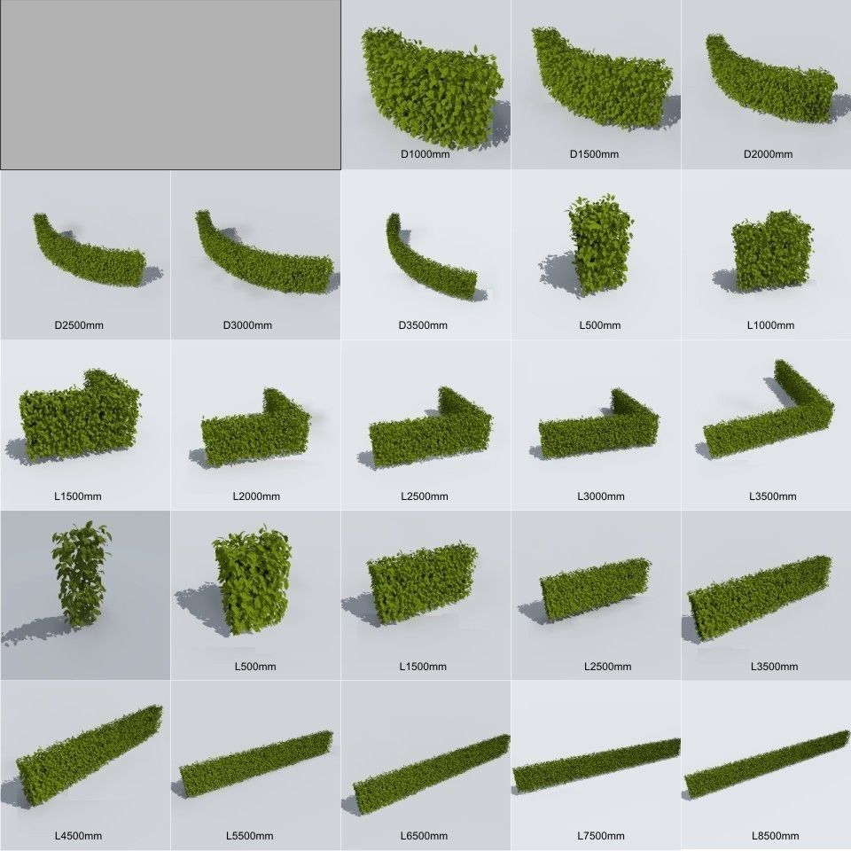 hedge system 3D model | CGTrader