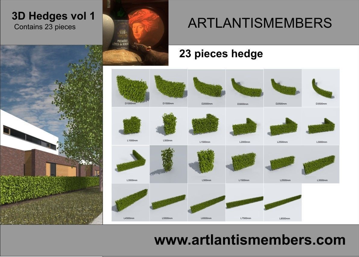 hedge system 3D model | CGTrader