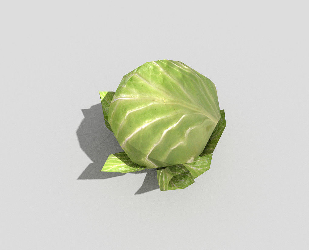 3D model low poly cabbage VR / AR / low-poly | CGTrader