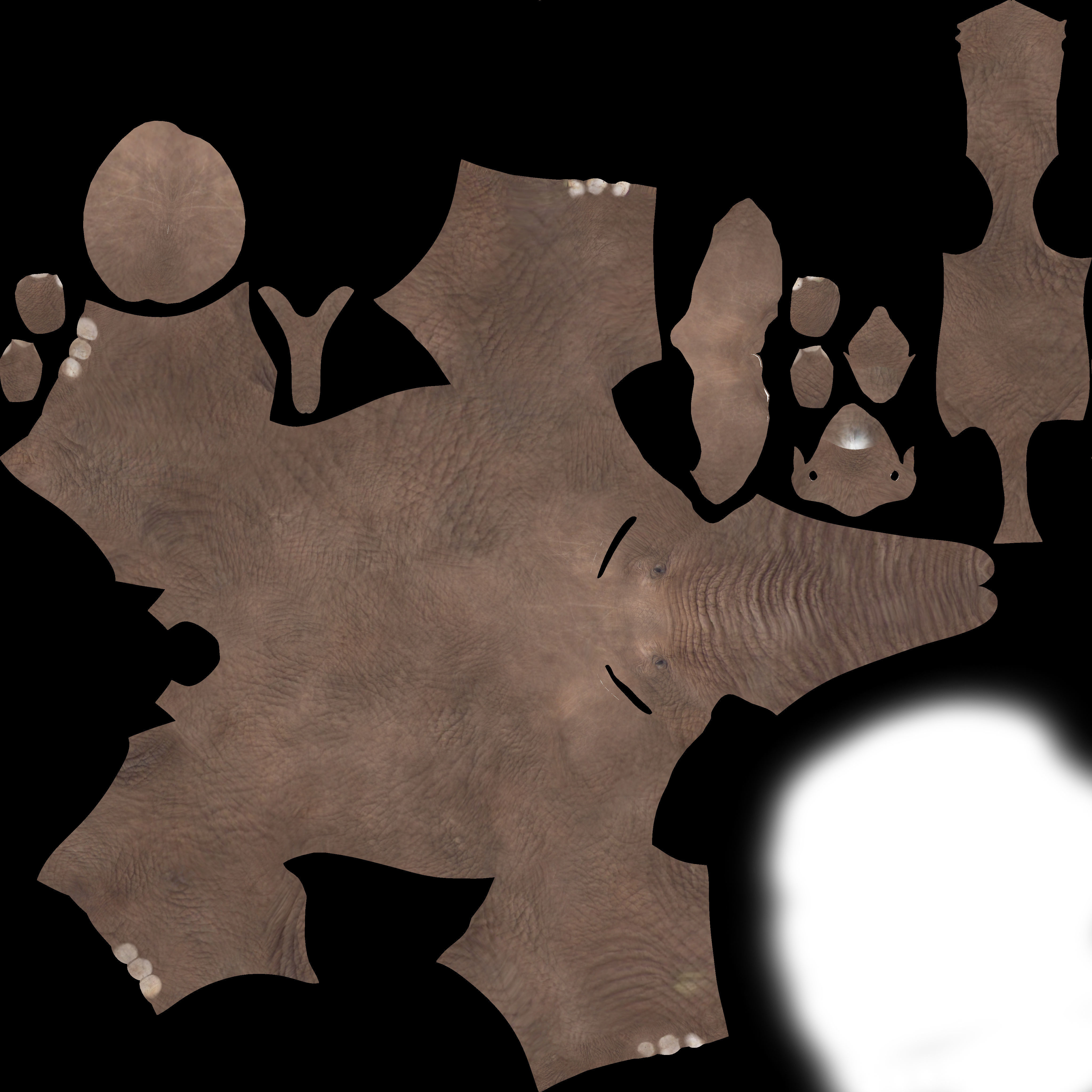 Elephant free 3D model | CGTrader