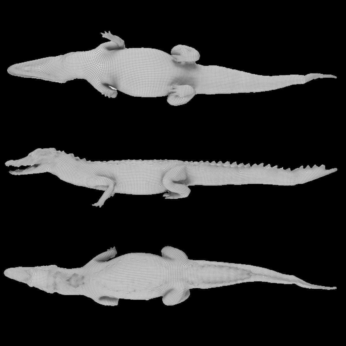 Crocodile 3D model | CGTrader