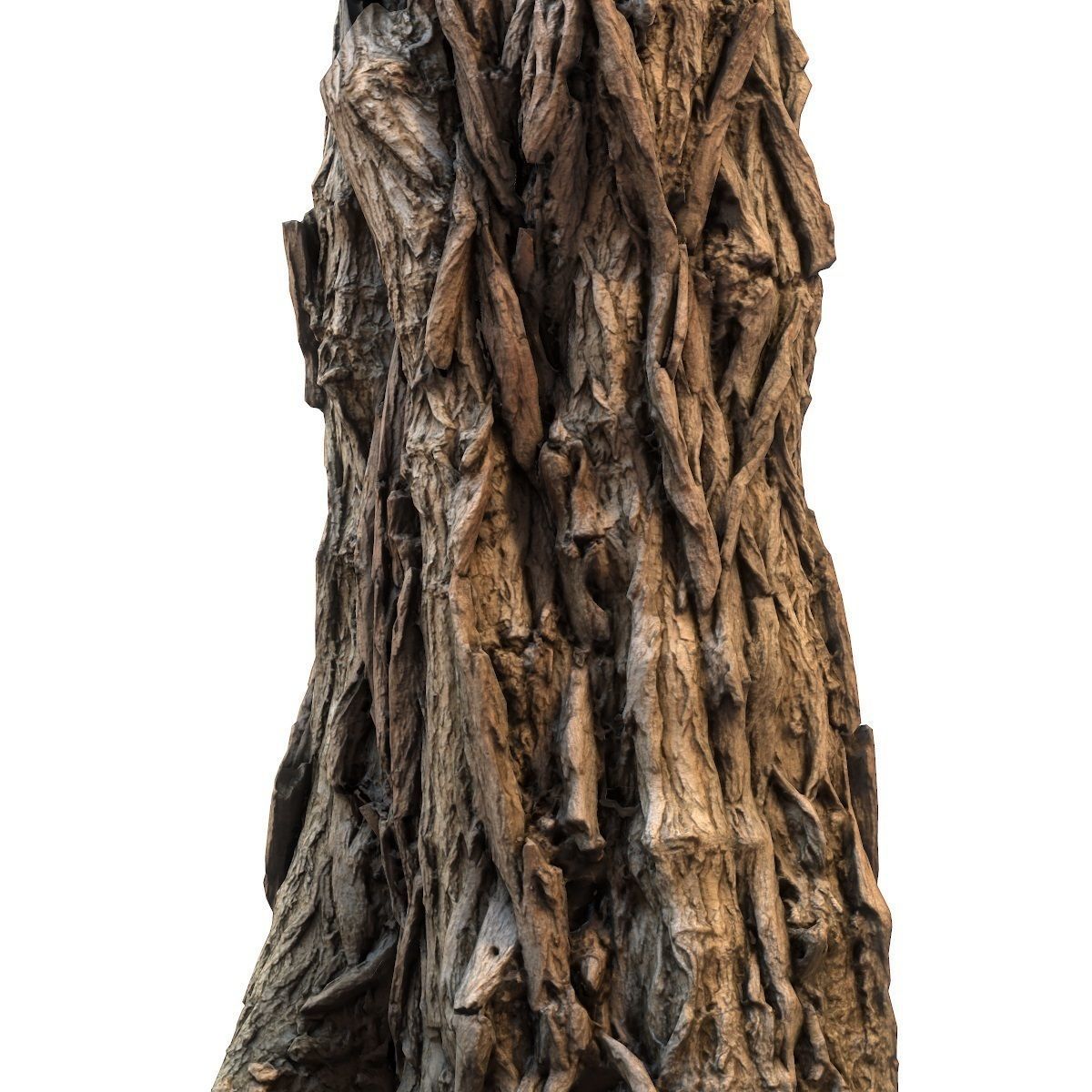 Realistic Detailed Tree Bark 3D model | CGTrader