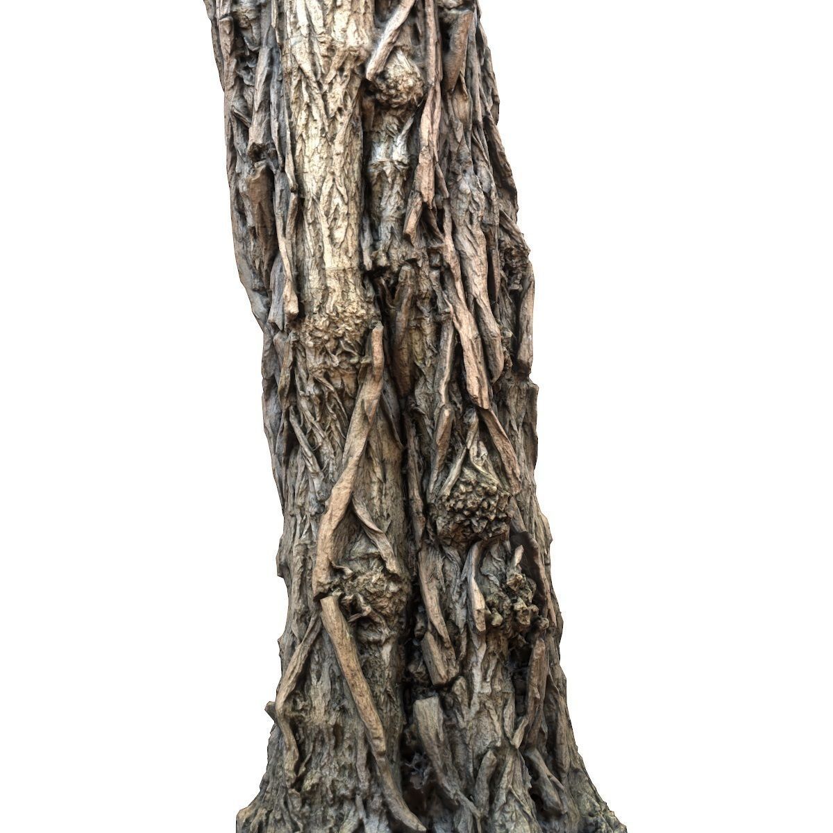 Realistic Detailed Tree Bark 3D model | CGTrader