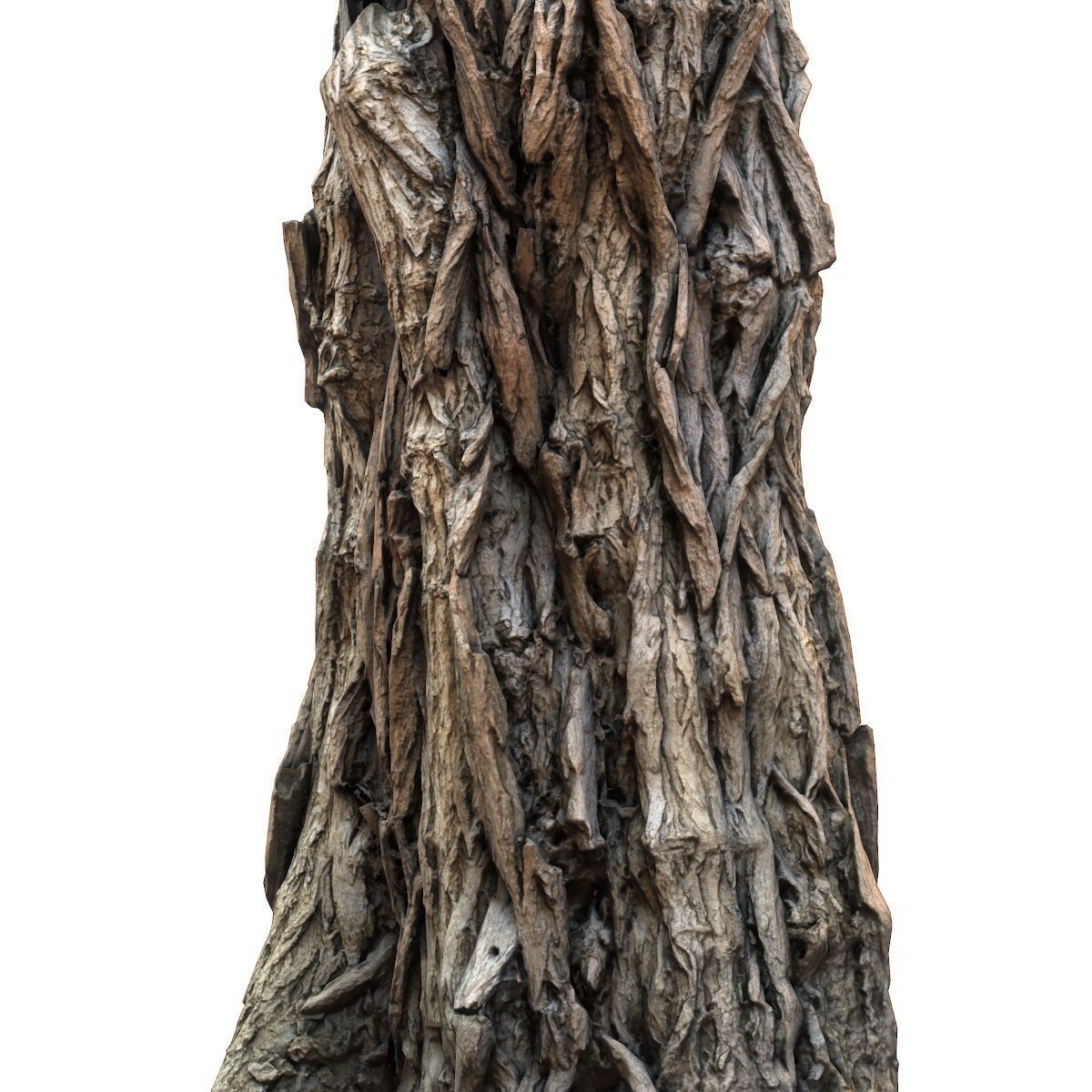 Realistic Detailed Tree Bark 3D model | CGTrader