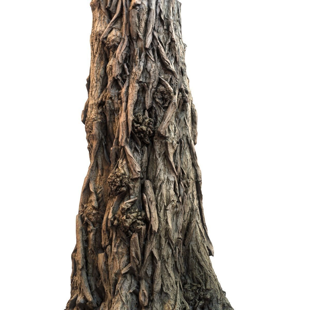 Realistic Detailed Tree Bark 3D model | CGTrader